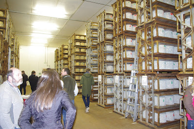 Grazing Kate: Quicke's Tour - How the Famous Devon Cheese is Made