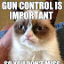 Picz I Like: Grumpy Cat Gun Control Meme
