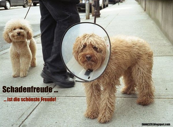 Neuer Prank: Riecht das hier nach Popcorn?! | think320