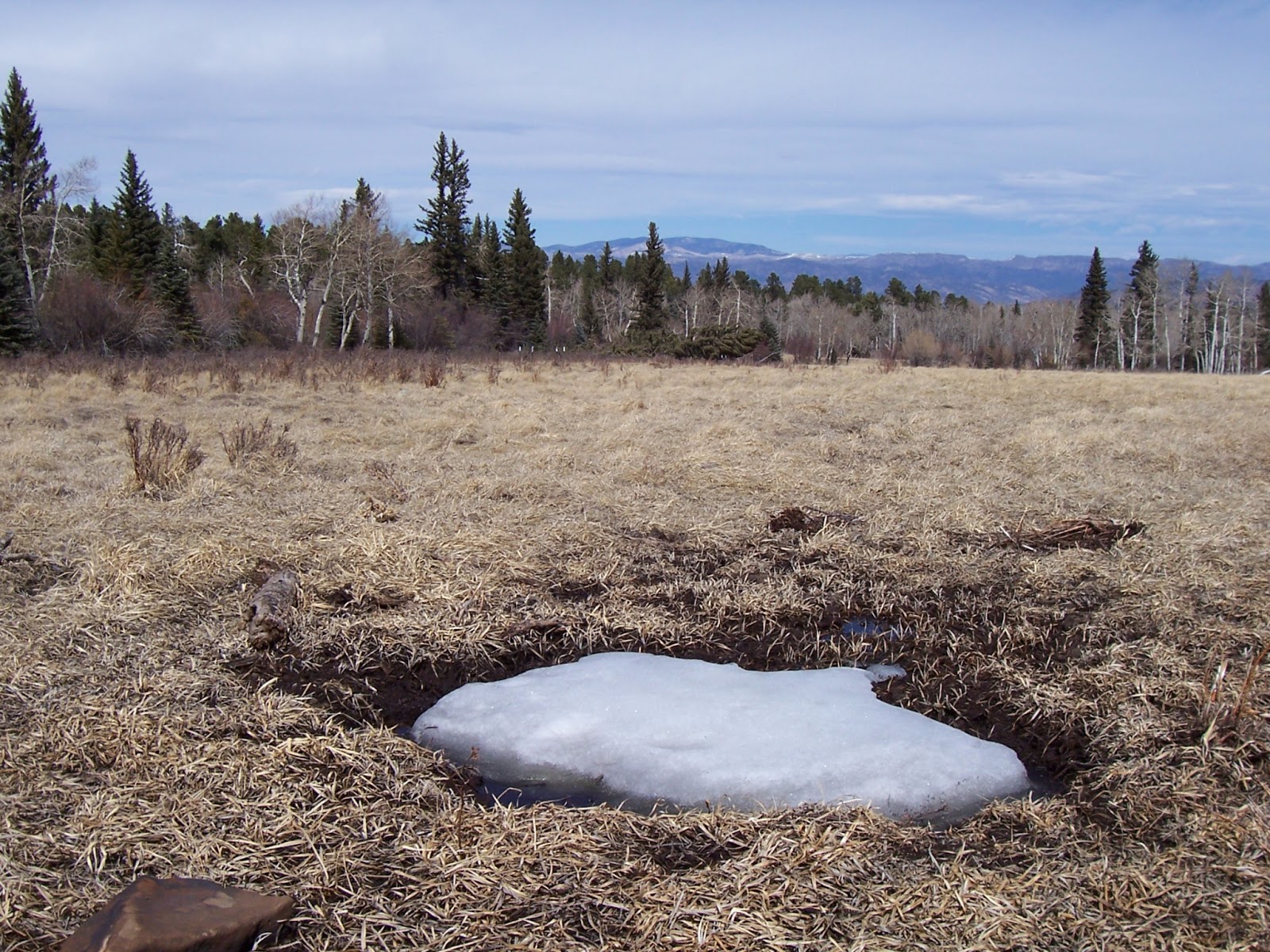 Homesteading with the Wild: Elk Wallow