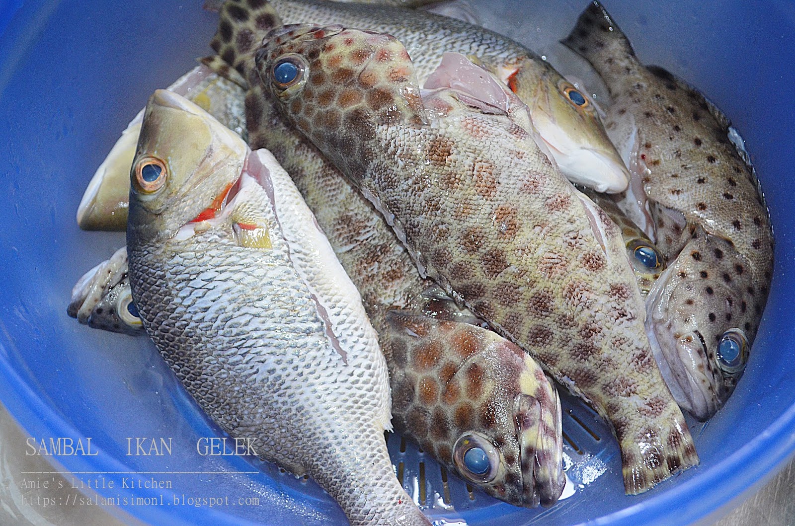 Sambal Ikan Gelek - Amie's Little Kitchen