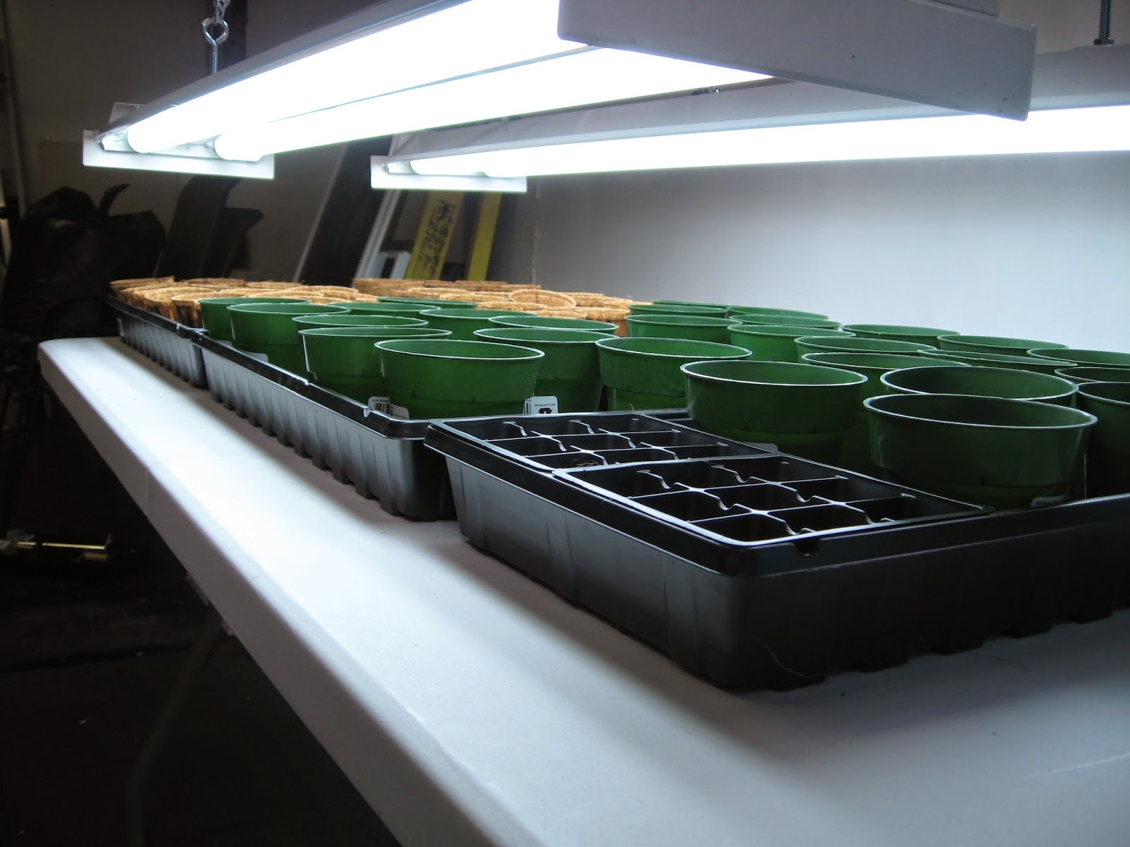 Ben et son potager: Mon installation pour semis 2015