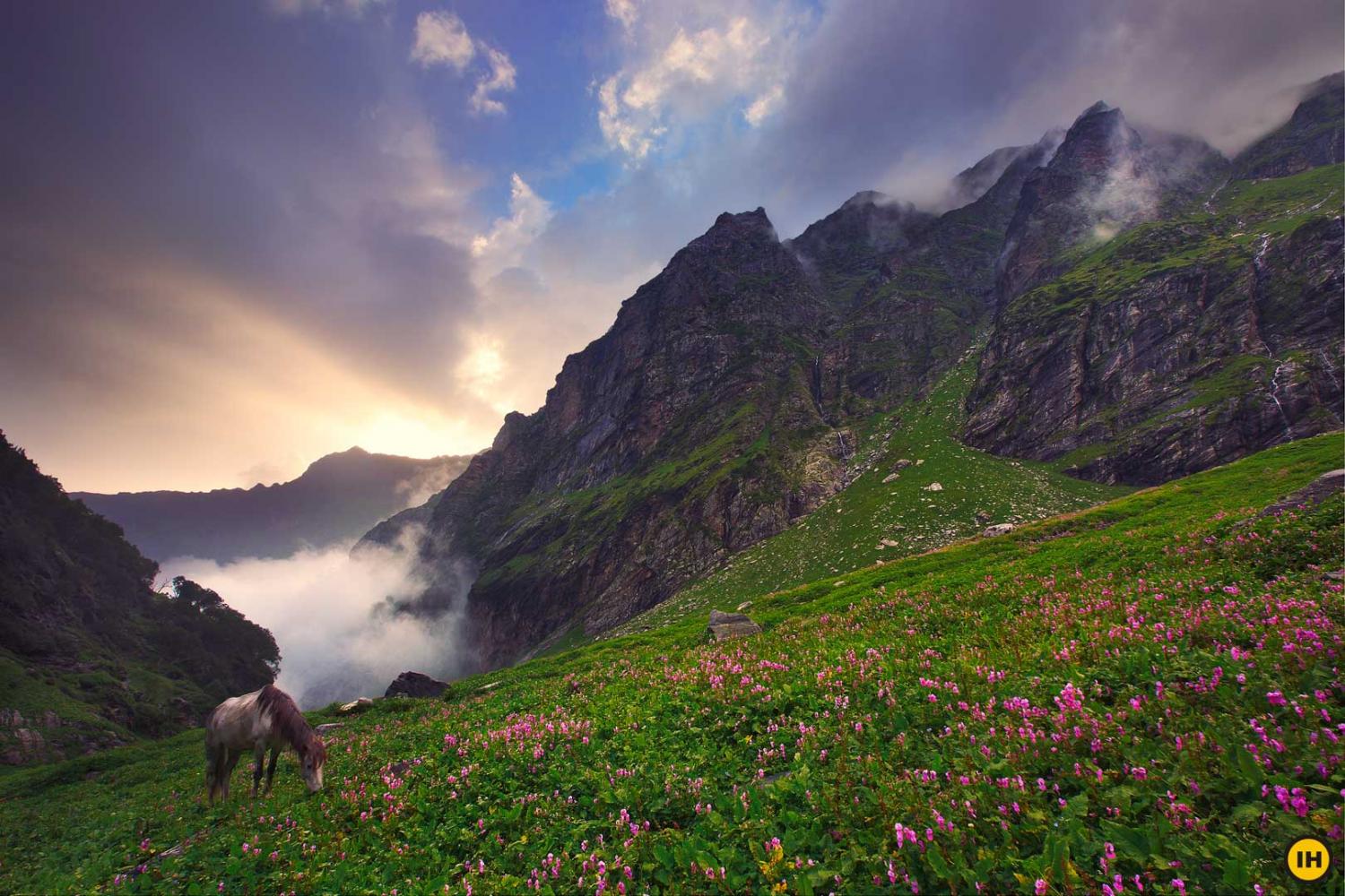 Mountains Calling: Top 5 Places must visit places in Himachal Pradesh