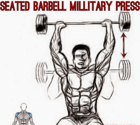Seated Barbell Millitary Press | Gym Exercises Home