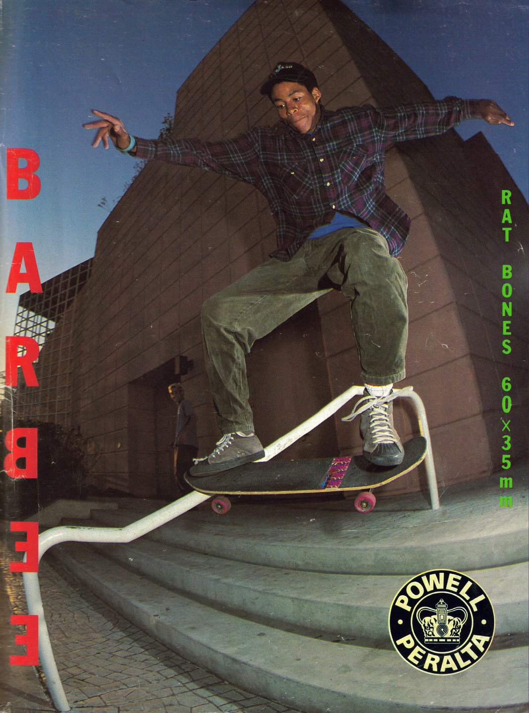 Ray Barbee Interview