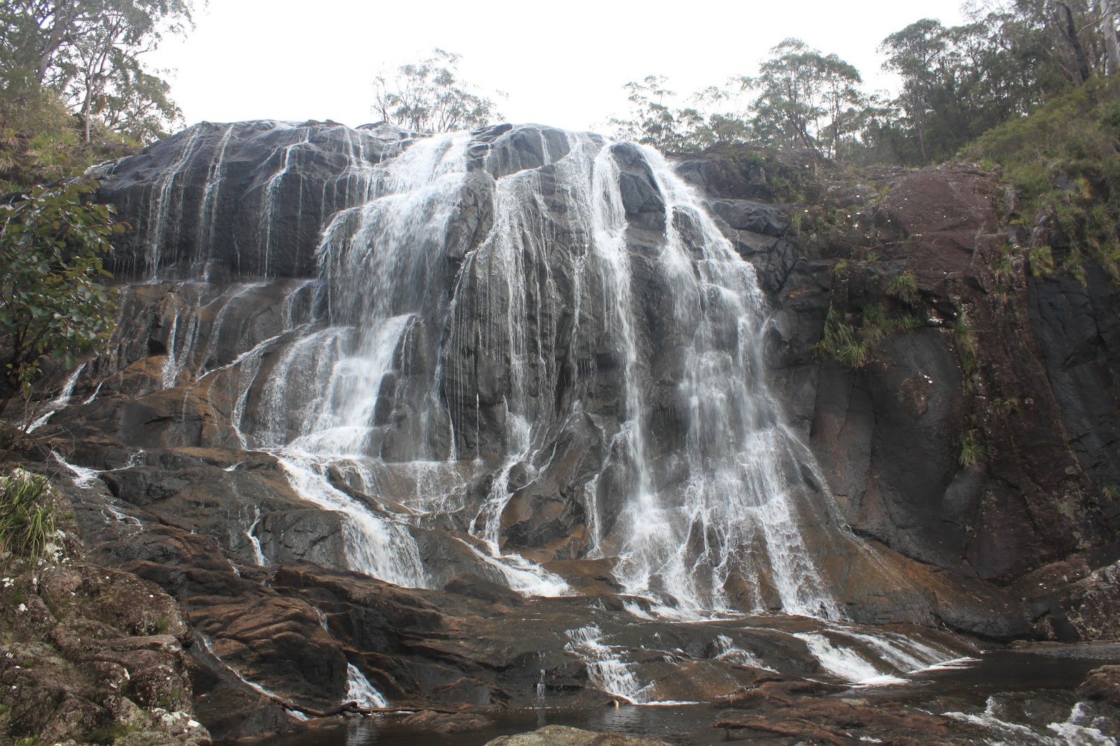 its just my life: Basket Swamp National Park