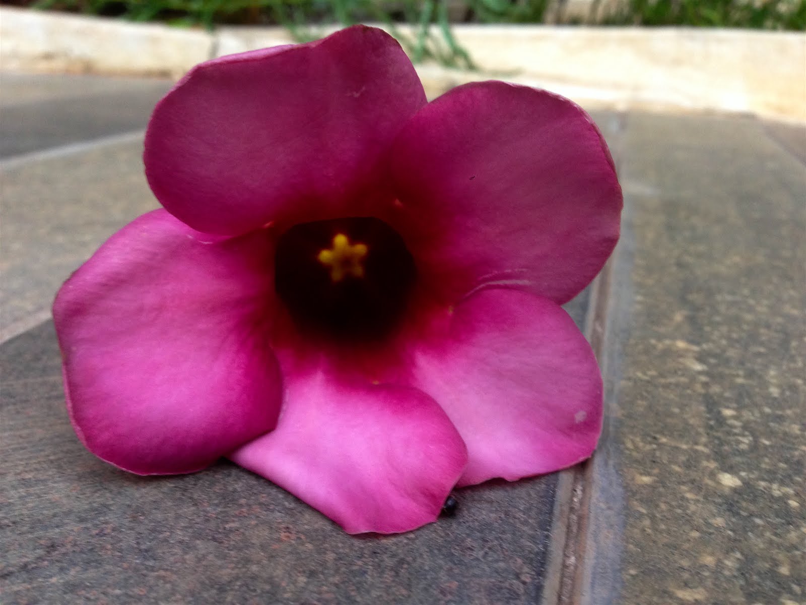 From India, With Love