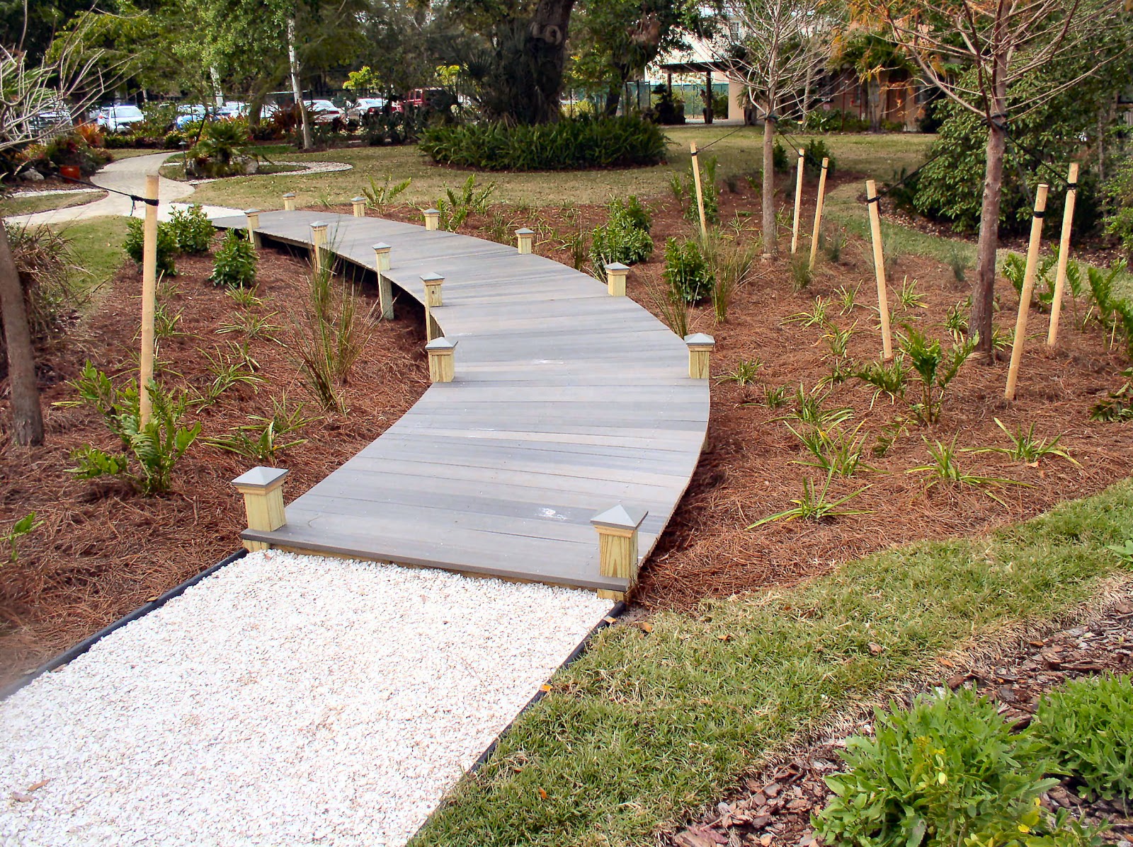 Florida Flowers and Gardens: Building a Rain Garden