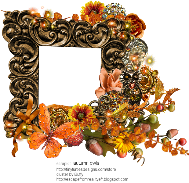 Escape From Reality Blog: FTU 'Autumn Owls' Cluster & Cluster Frames