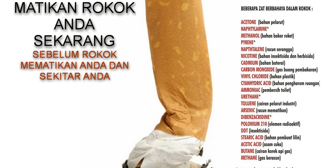 Heboh!!! Ternyata Rokok Mengandung Darah Babi...! ~ Pecinta Ilmu dan Hikmah