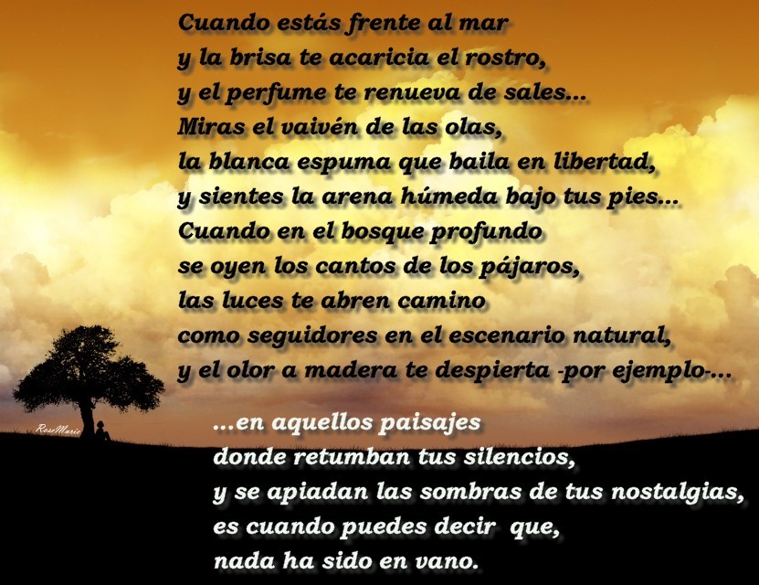 POESÍA Y TRANSICIONES: NADA HA SIDO EN VANO...