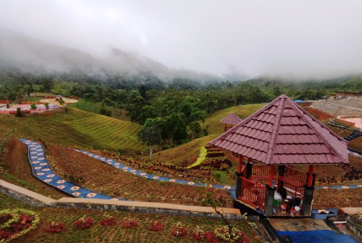 Kebun Raya Liwa, Ikon Baru Pariwisata Lampung Barat - Blog Lampung