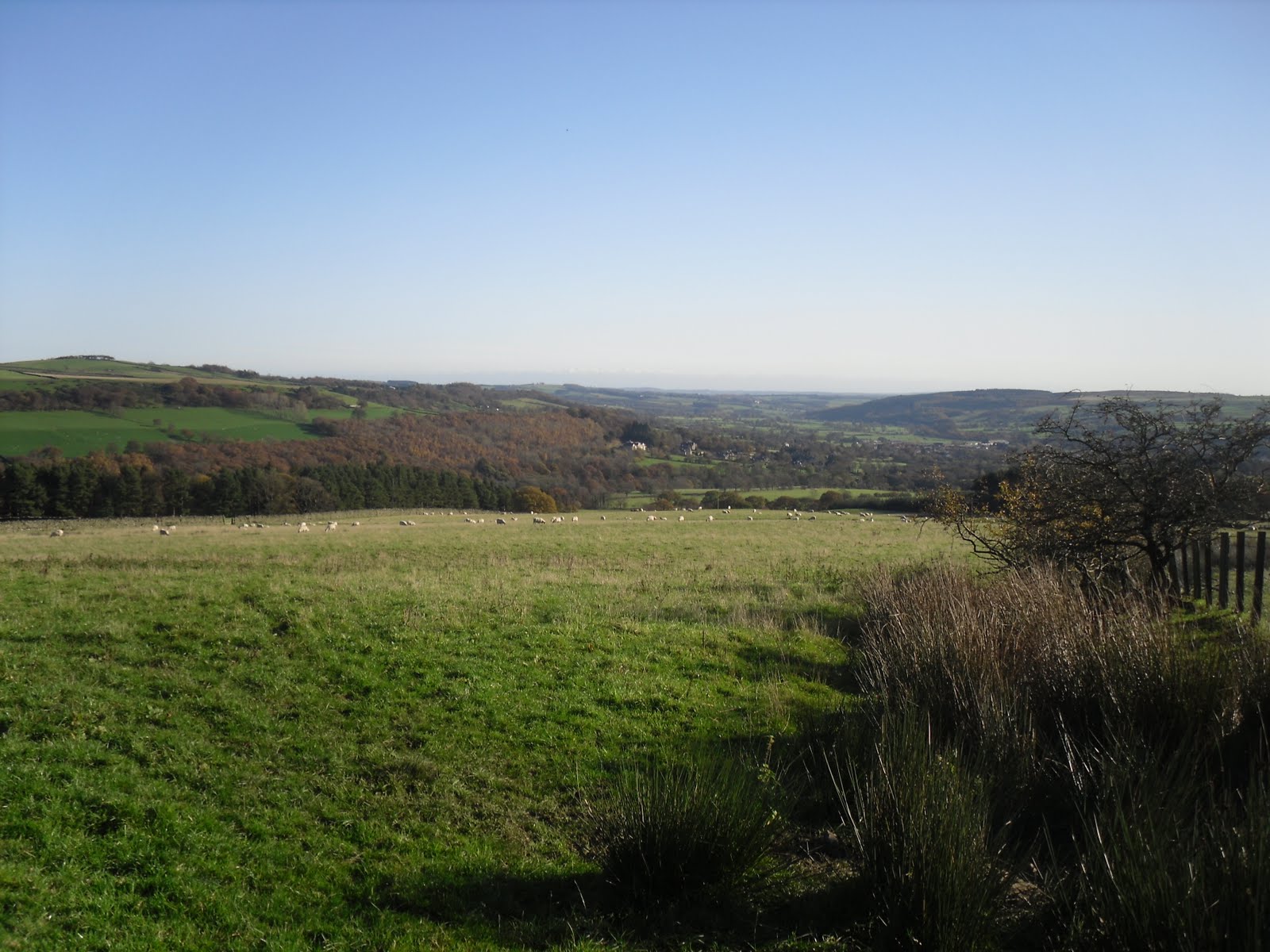 Rambling Nana: Wolsingham, Tunstall Reservoir Circular