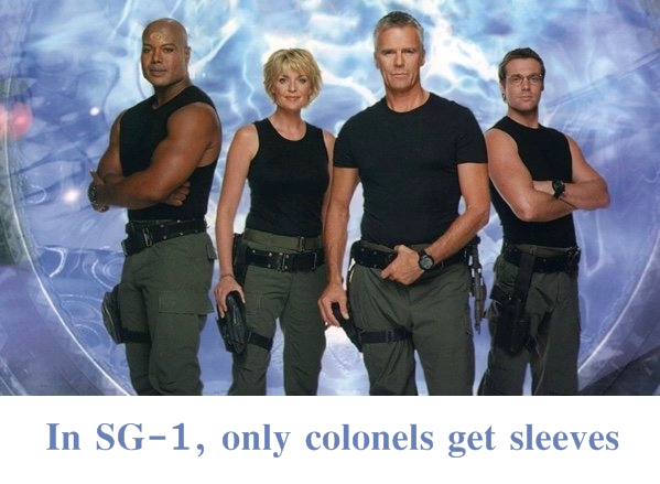 The Wayfarer's Rest: The Stargate Franchise: SG-1