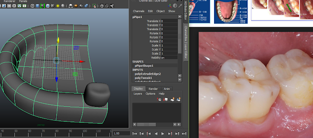 MAYA建構3D牙齒模型_牙齦(Gums)及牙齒(Teeth)