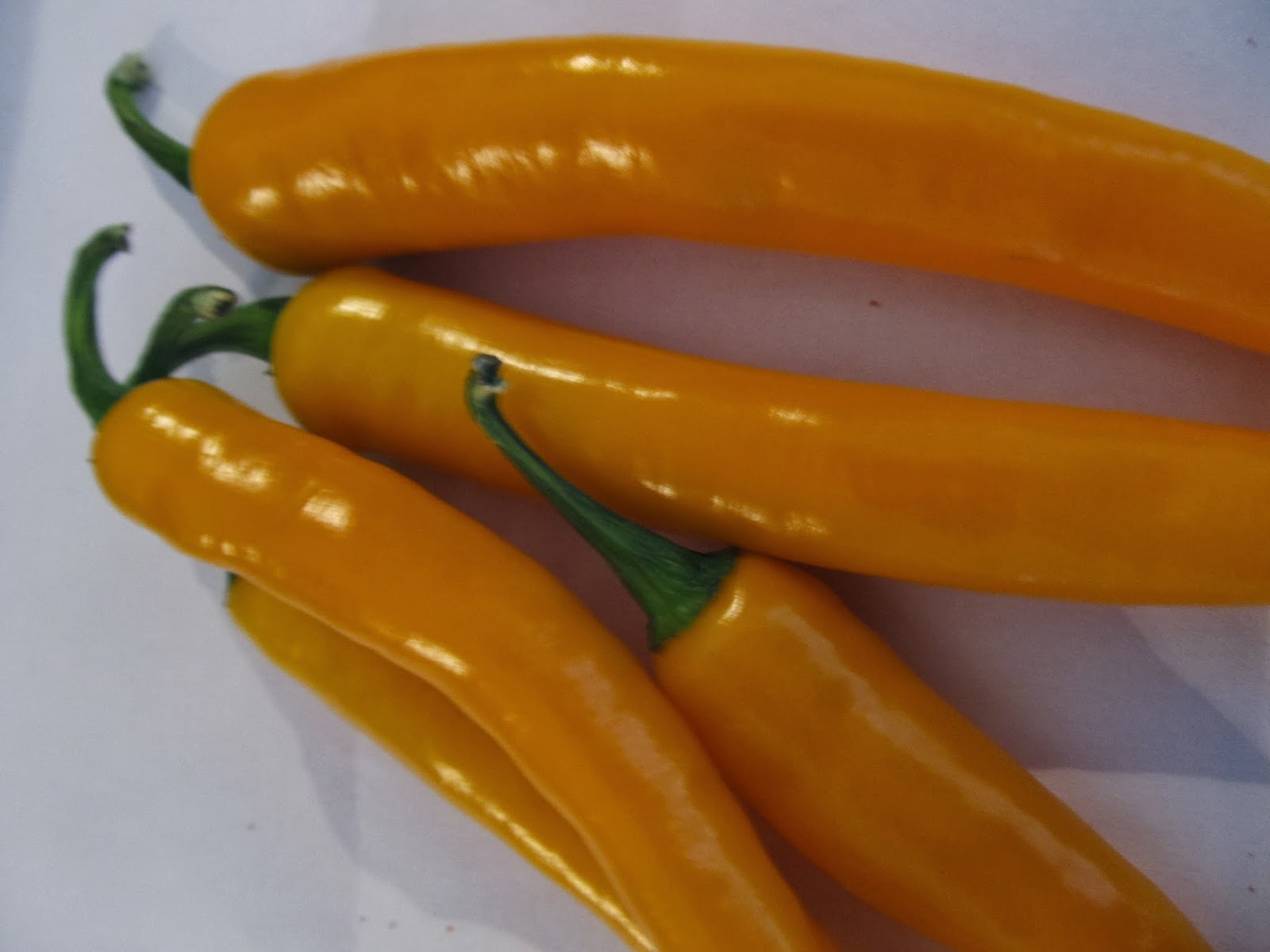 Brouwerij De Watertoren: Welke peper in welk bier?