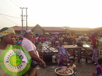 iFoodS - Initiative for Food Safety: MAKOKO FISH MARKET - Sharks ...