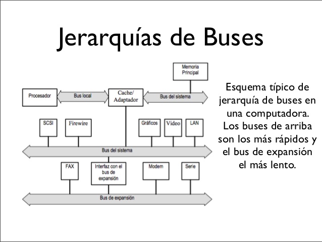 ARQUITECTURA DE COMPUTADORAS: BUSES