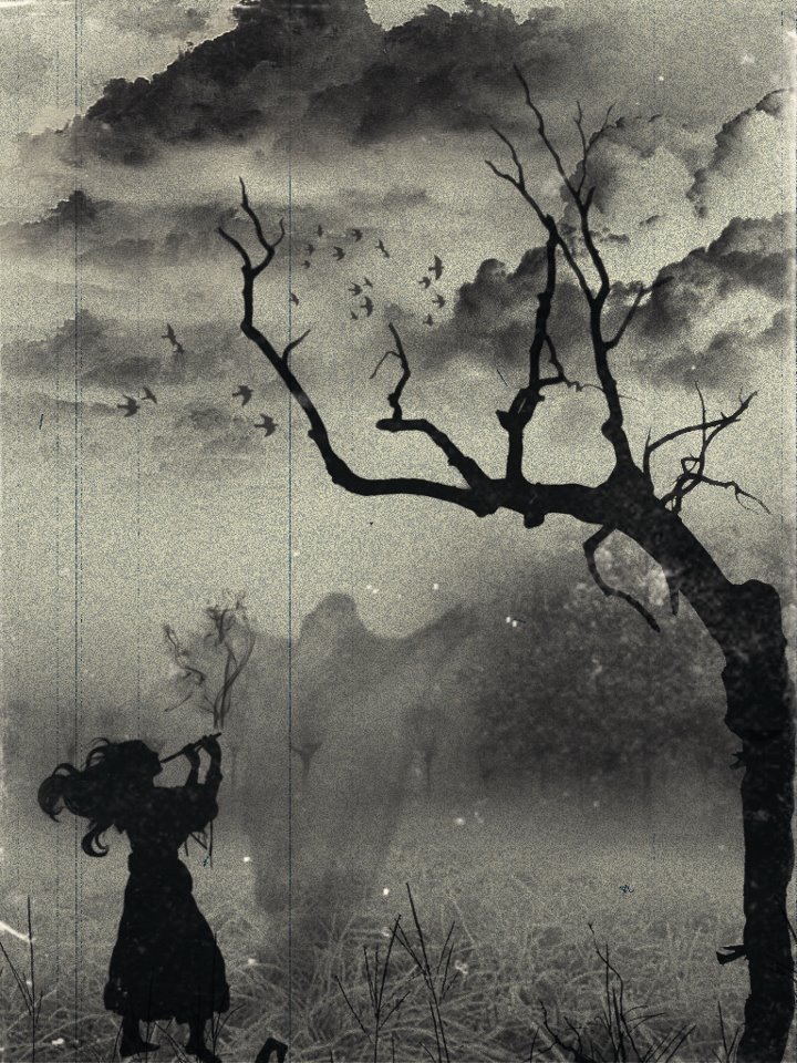 ARTE E LOUCURA: Pensar é sempre seguir a linha de fuga do voo da bruxa ...