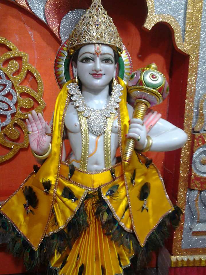 JAI SHREE BABOSA: About Babosa