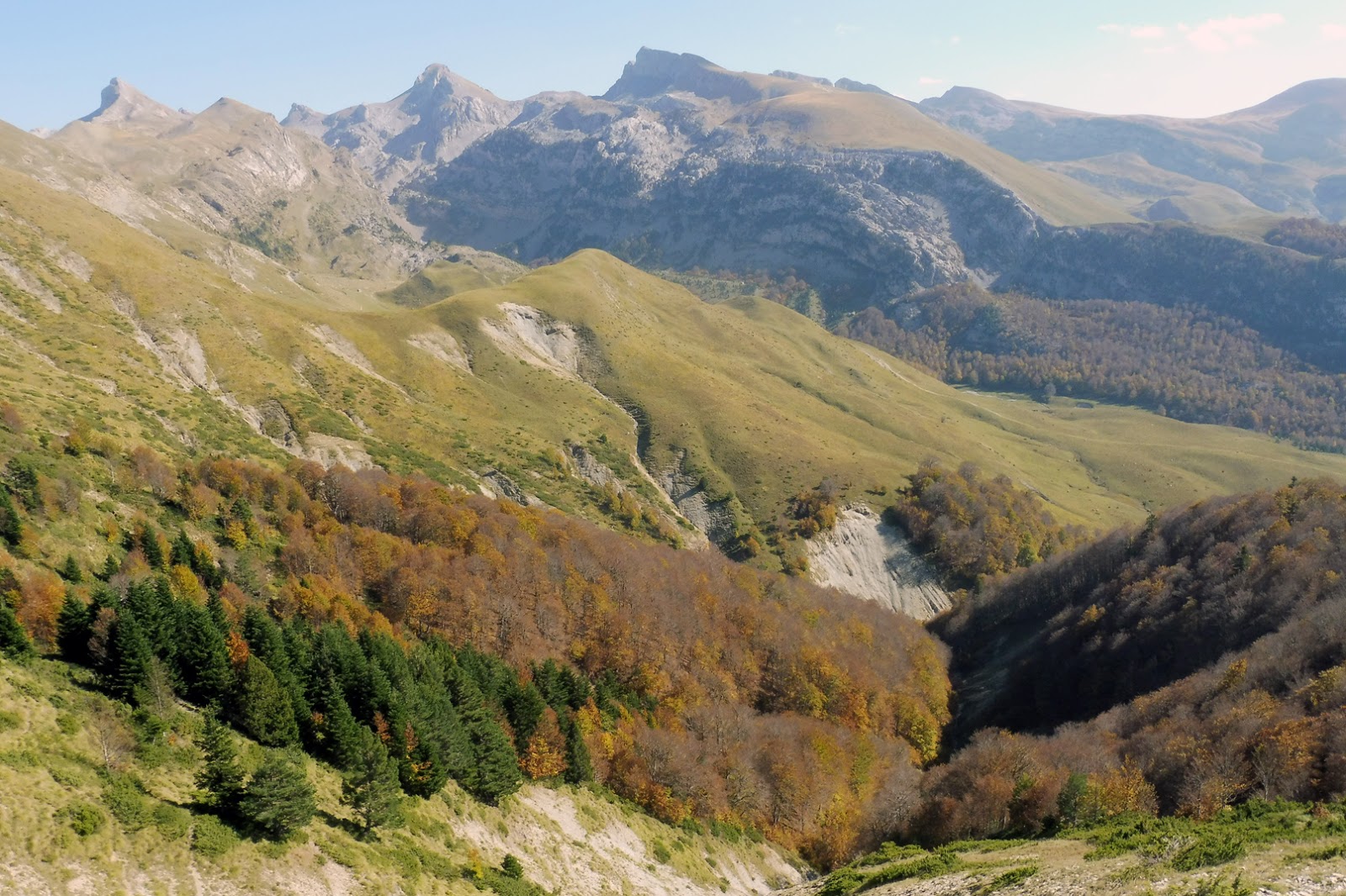 rocayflor: Paquiza de Linzola desde Linza