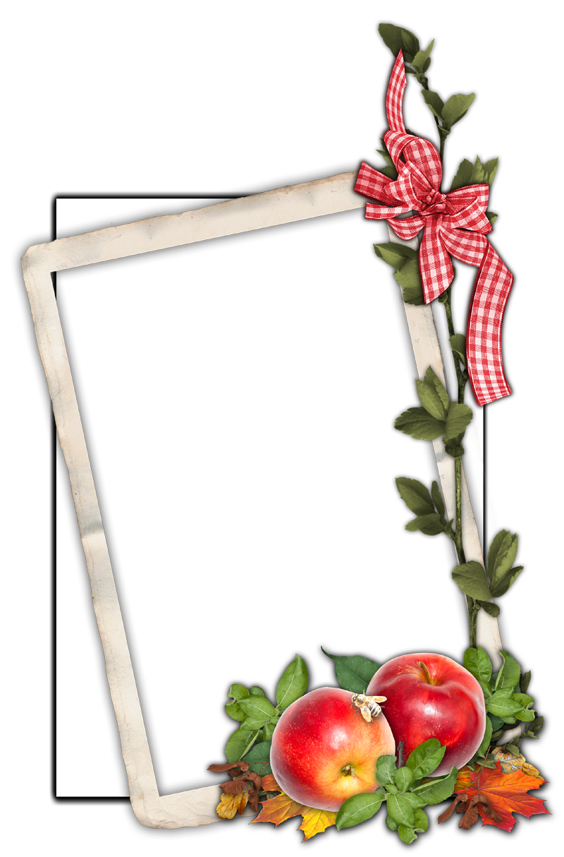 cheyOkota digital scraps: Digital Scrapbook Freebie Cluster Frame