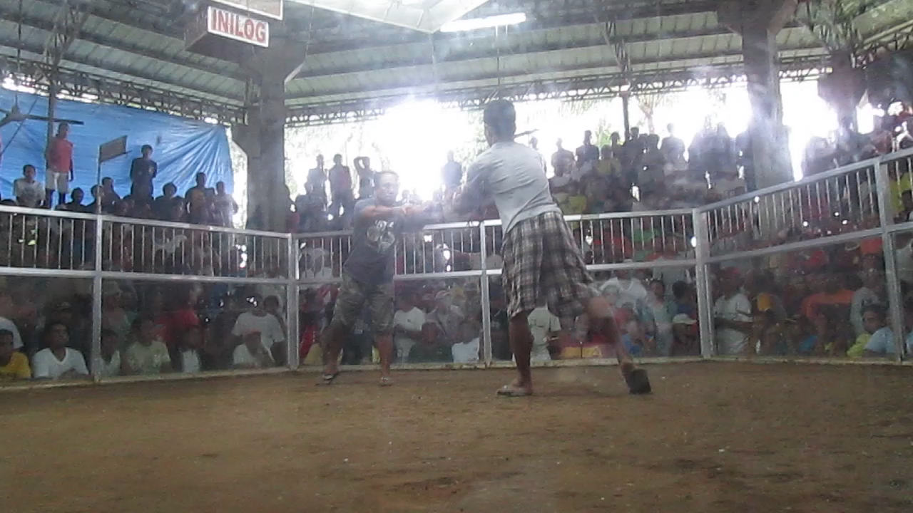 Sabong Pilipinas Fights - Tubigon Cockers Arena January 17, 2015 Fight ...