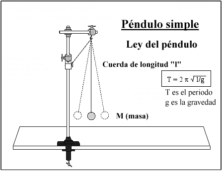 Relación del Péndulo con el Movimiento Armónico Simple