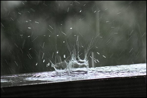 Collection of Raining Pictures