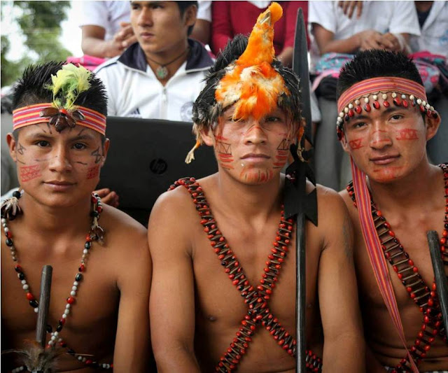 Letras de Cojedes (lectura-didáctica - textos): Glosario de voces ...