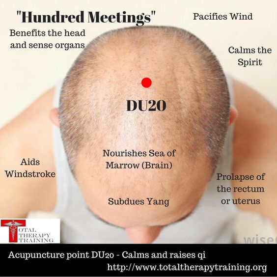 TCM: Bai Hui, The 100 Meetings Points