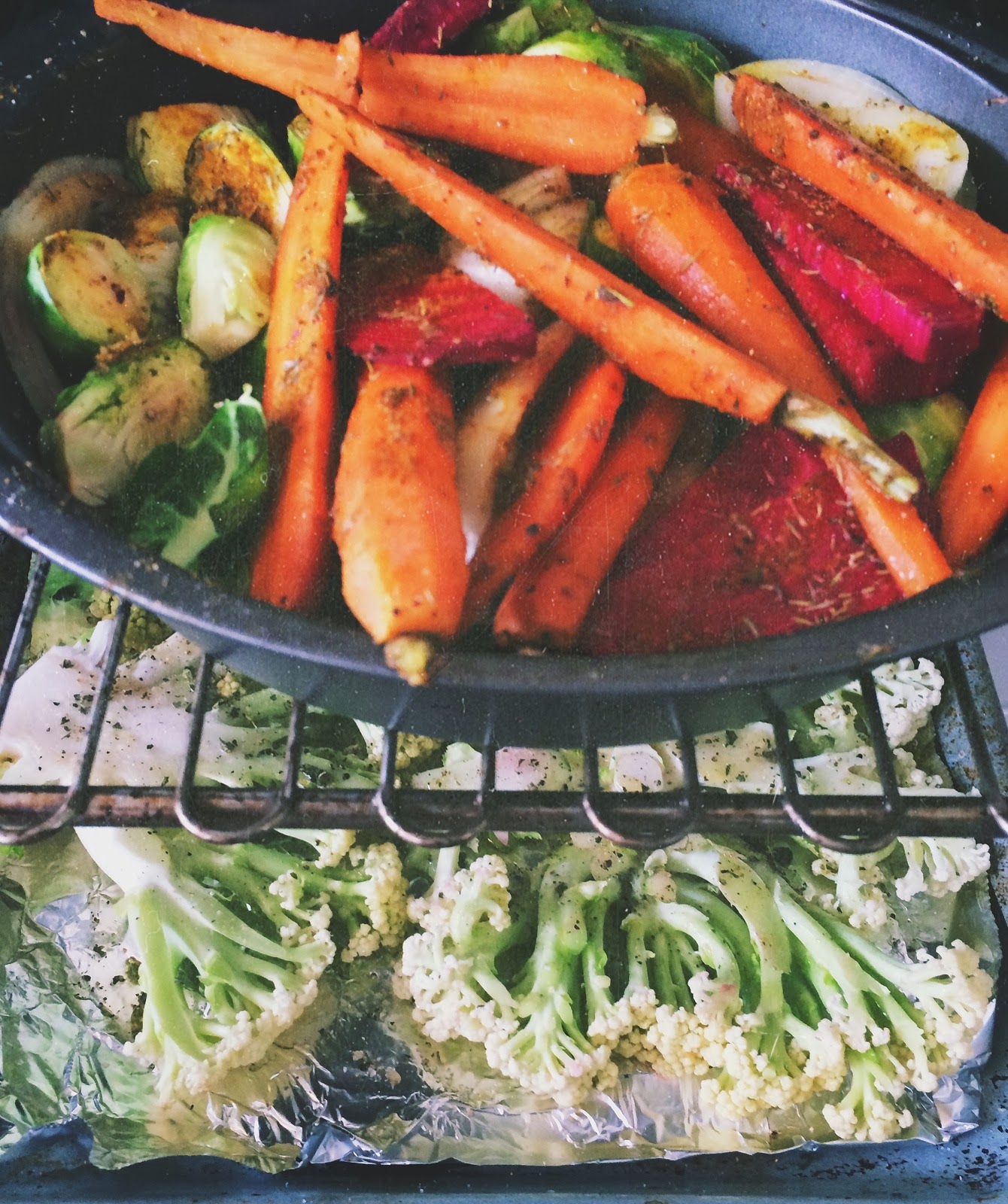 40 days fresh: Day #3 day off with an impromptu picnic dazzling delight