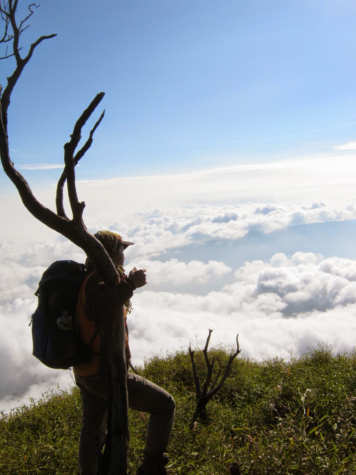 Ekspedisi Gunung Talang ~ Handes Scream