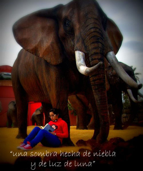 El elefante en el salón: Elephant Jumping On Trampoline, Un elefante en ...