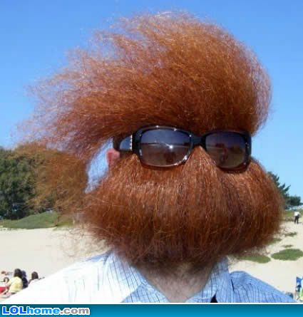Funny Men With Funny Beards (8 Images) ~ Educational Blog