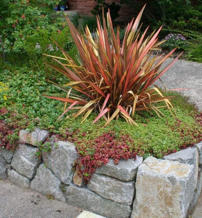 RW PAISAGISMO: COLORIDO: FÓRMIO