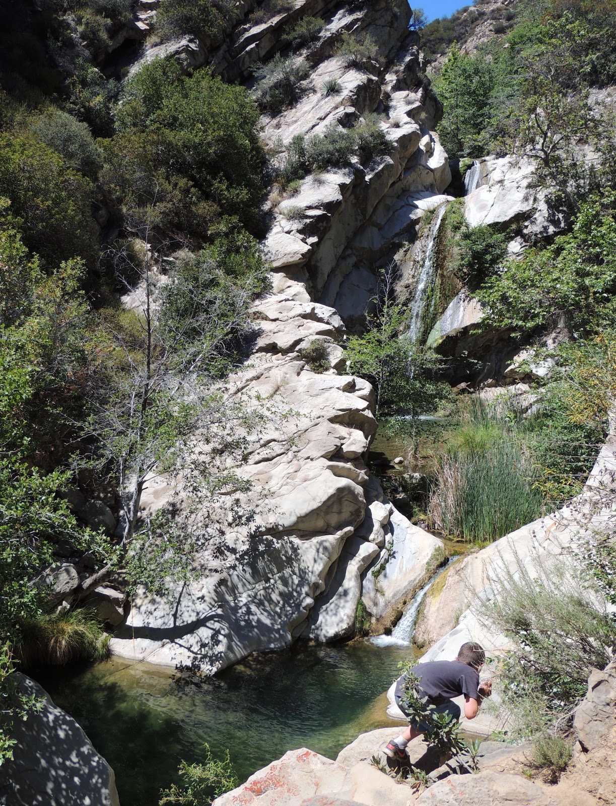 1000 Hikes in 1000 Days: Day 915: Matilija Falls - Bald Hills Trail