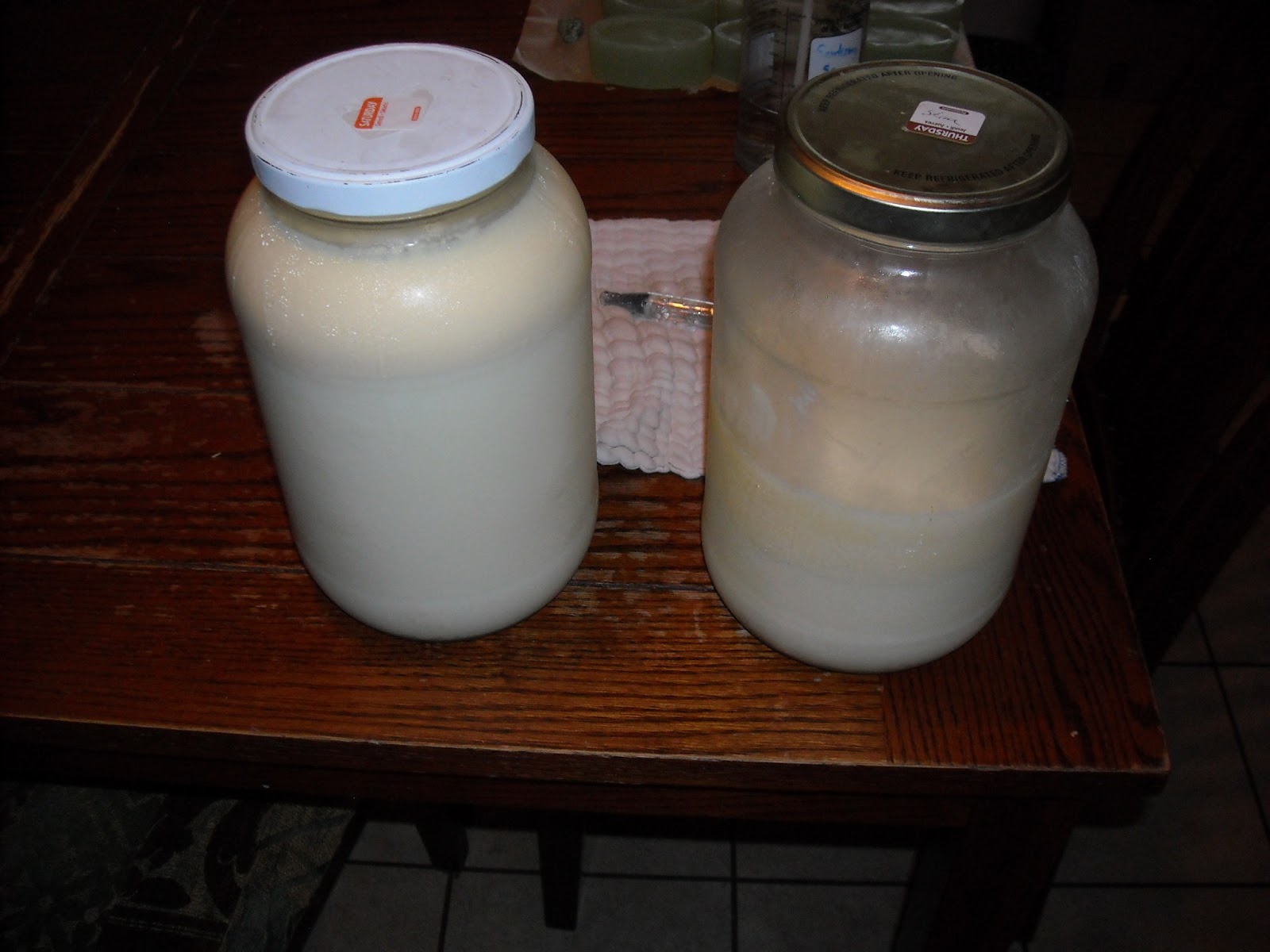 Homemade Domiati Cheese