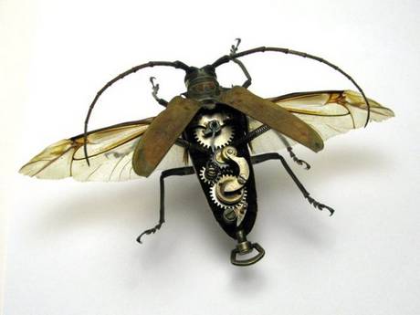 mechanical insect art by Mike Libby ~ ideas arts and crafts projects