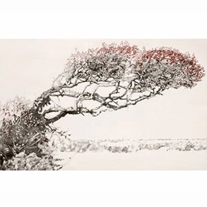 The Print Shop: Printmakers: 6th November - 24th December