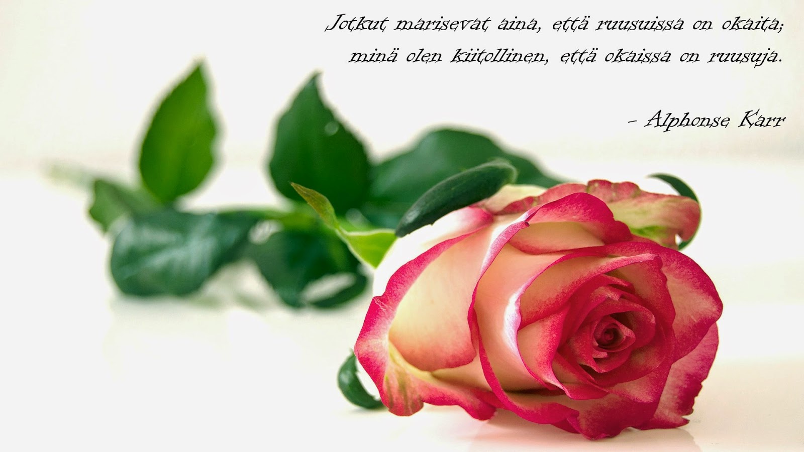 Mietelauseet: Mietelause - ruusut