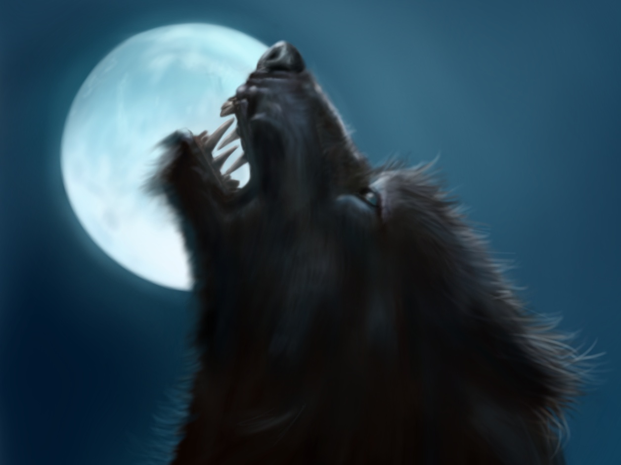 Phantoms and Monsters - Real Cryptid Encounter Reports - Fortean ...
