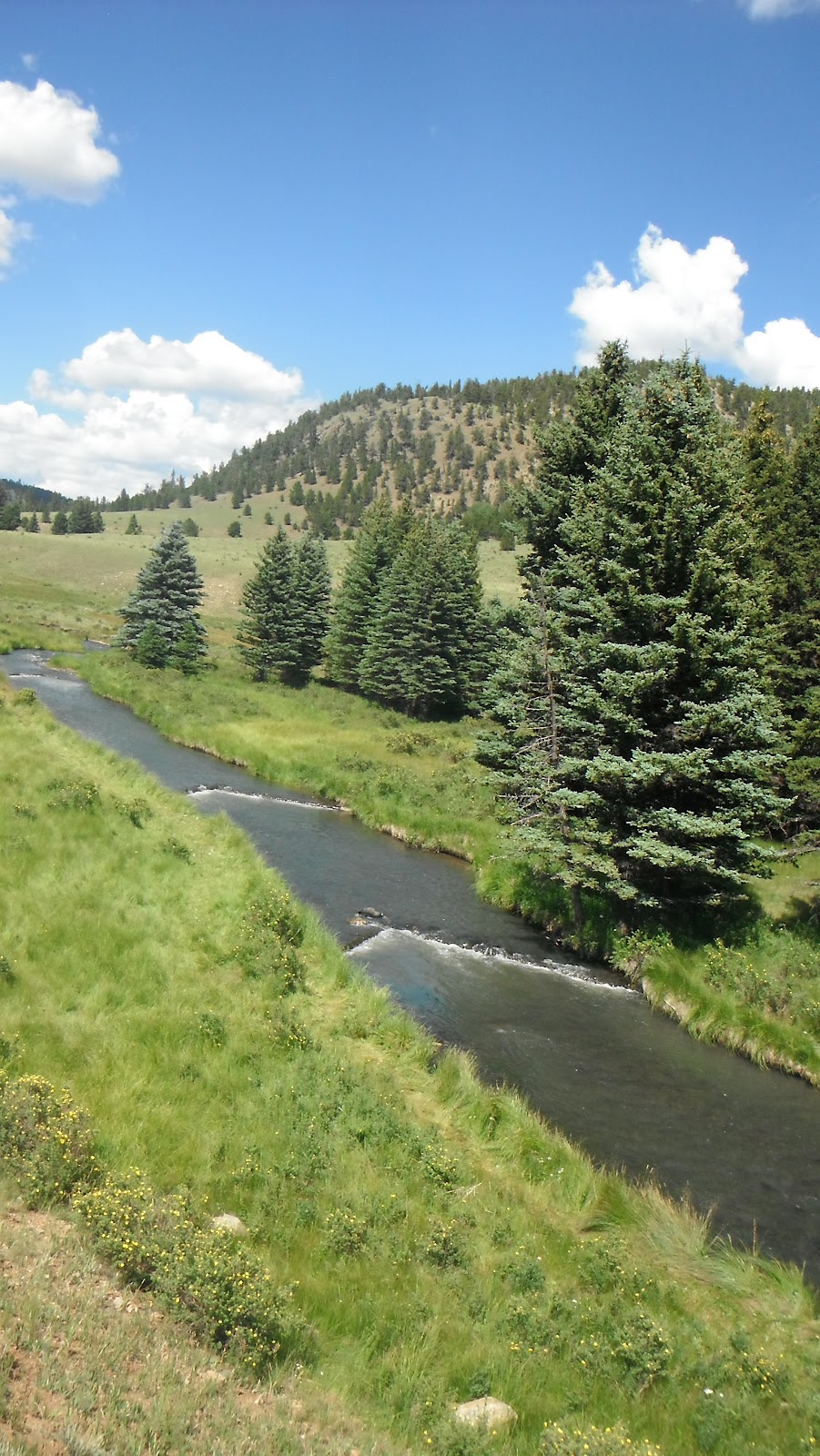 Zen Trout: Rio Costilla and the Valle Vidal