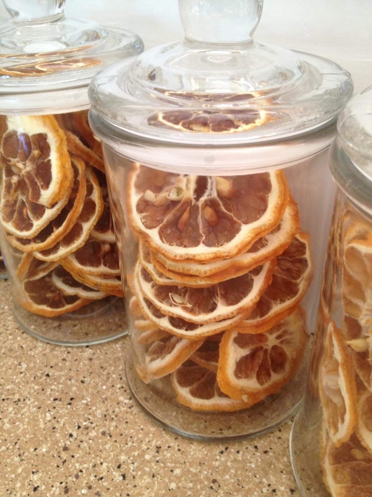 Deb's Daily Journal: My dried lemons...