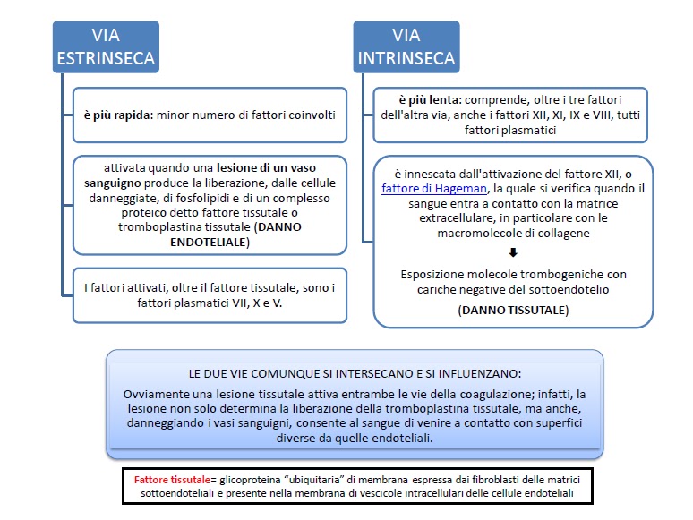 Emostasi e coagulazione