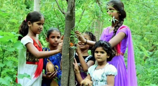 Incredibilele sate ale Indiei + VIDEO