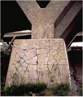 Map Cracks Due To Alkali Aggregate Reaction - Builders Solution Group