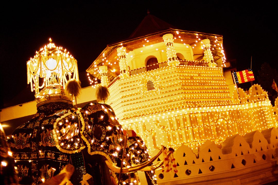 GARI Tours: Kandy Esala Perahera 2016