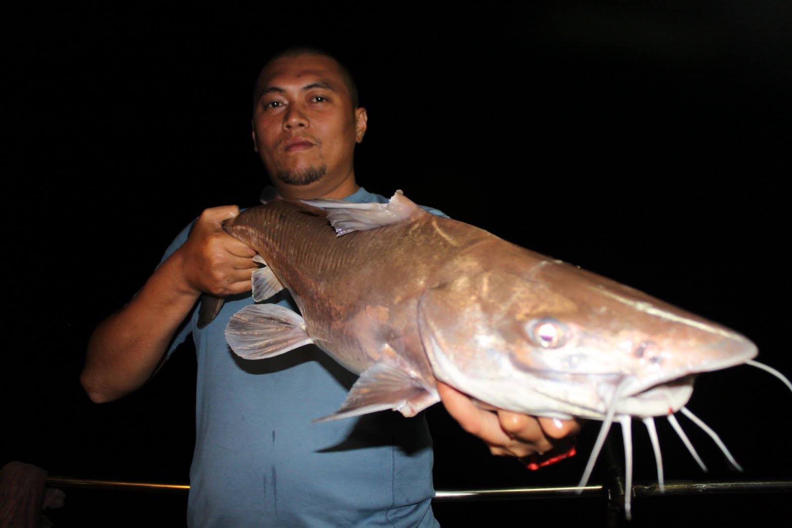 Ikan Jahan - Perumperindo.co.id