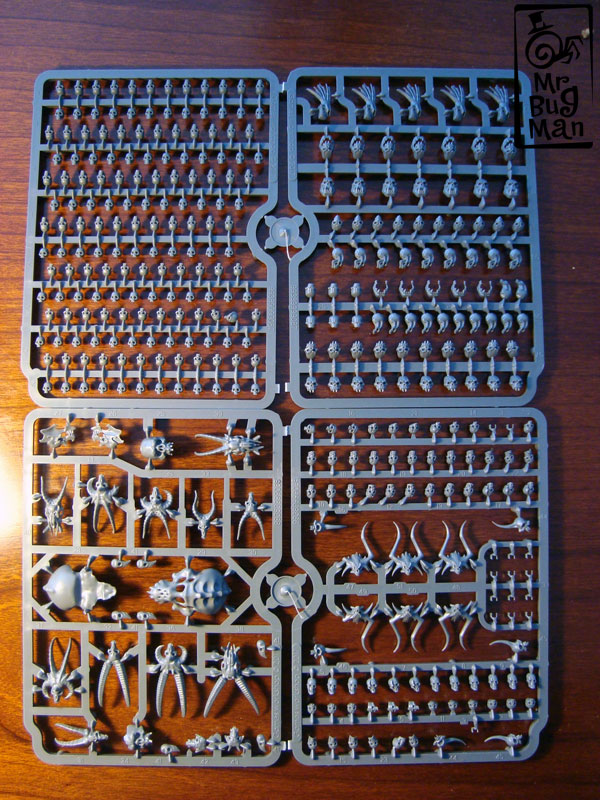 Mr. Bug Man: Citadel Skulls review.